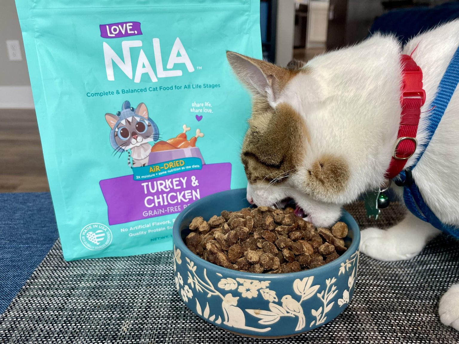 Love, Nala Cat Food Review 2026: A Detailed Look - Catster