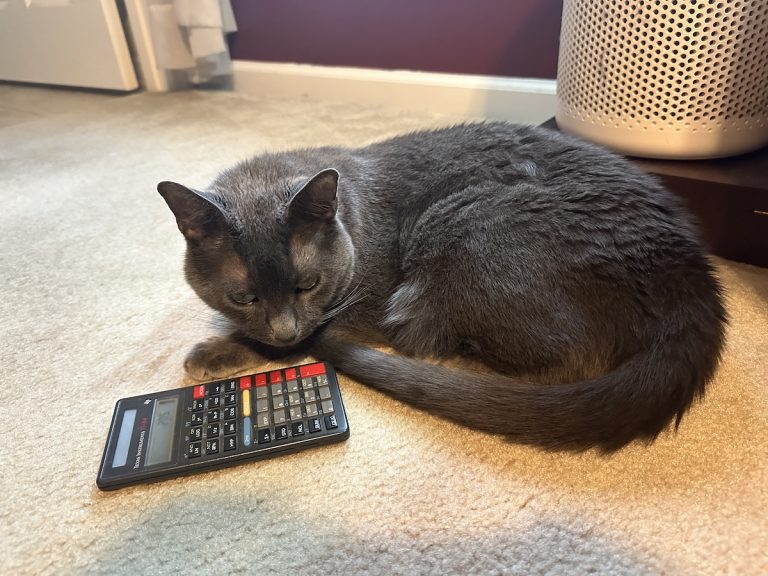 Office Cats: The Pros & Cons of Felines in the Workplace - Catster