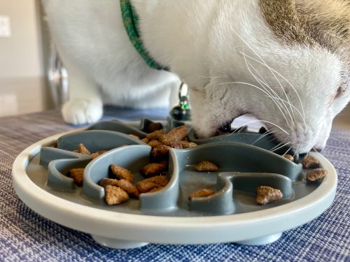 Messy Mutts Messy Cats Interactive Slow Feeder Review 2024: A Detailed ...