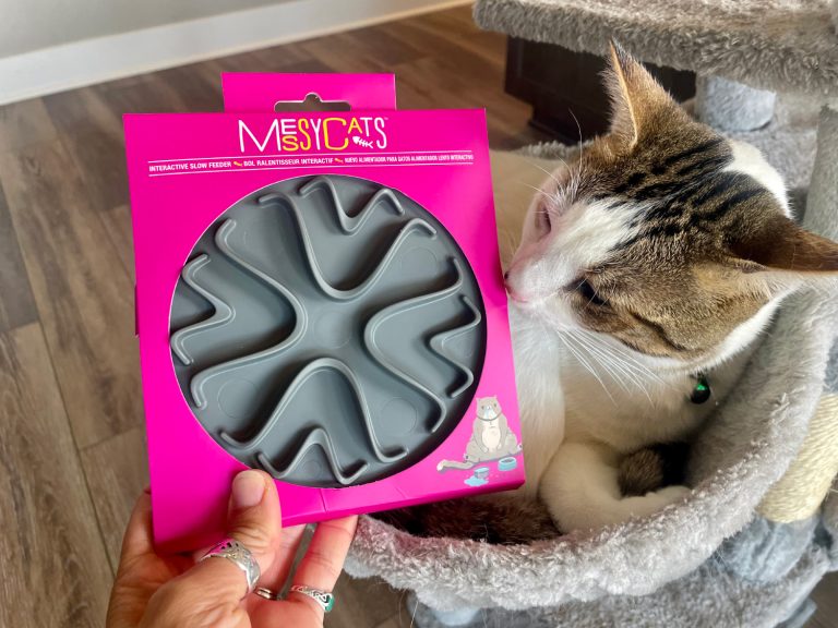 Messy Mutts Messy Cats Interactive Slow Feeder Review 2025: A Detailed ...
