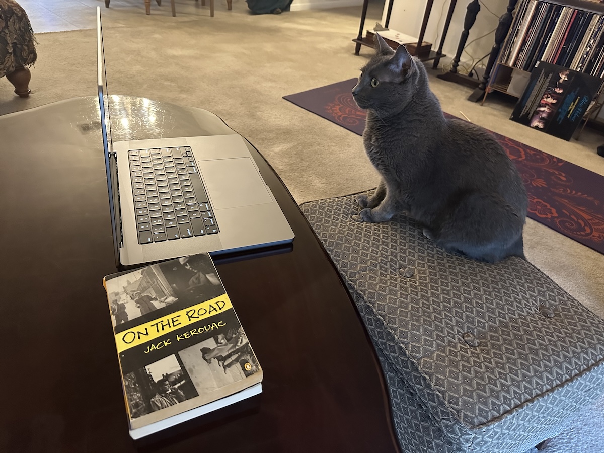Office Cats: The Pros & Cons of Felines in the Workplace - Catster