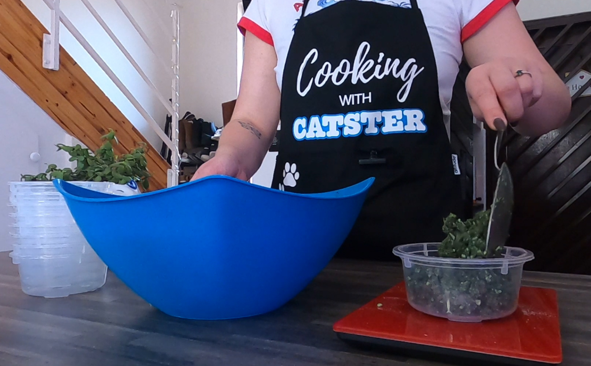 Homemade Low-Carb Chicken Cat Food Recipe: Dr. Lucky’s Meal Planning ...