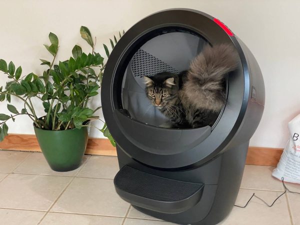 Litter Robot 4 Review 2026: How It Measured Up in My Multi-Cat Home ...
