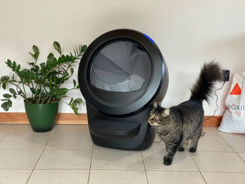 Litter Robot 4 Review 2025: How It Measured Up in My Multi-Cat Home ...