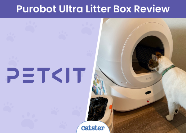 PETKIT Purobot Ultra Litter Box Review 2026: Our Hands-On Test - Catster