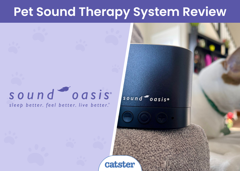 Sound Oasis Pet Sound Therapy System Review 2026: Effective Pet Calming ...
