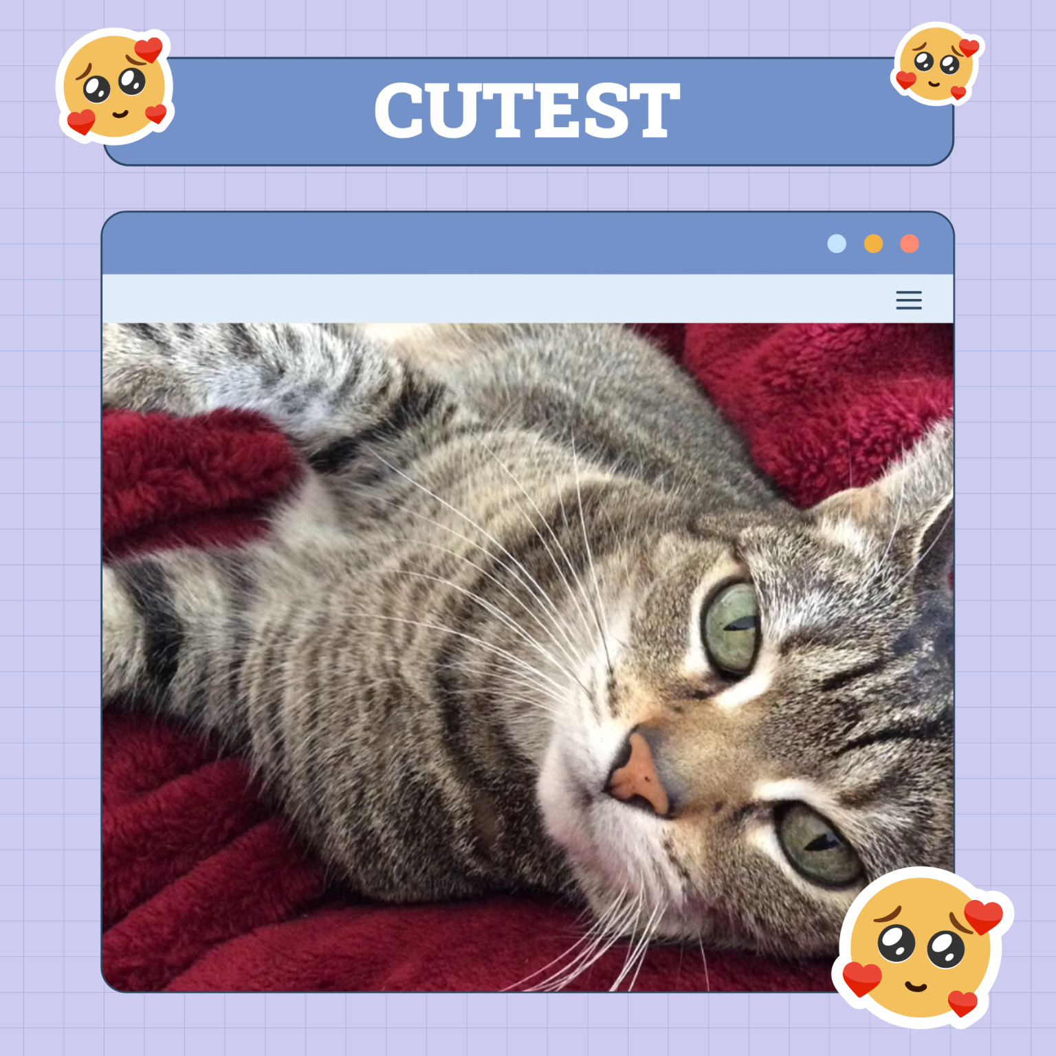 Catster Photo Contest: Cats of the Week Winners (Mar 13, 2025) - Catster