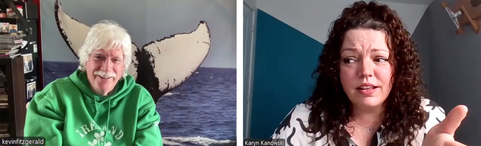 An Interview with Dr Kevin Fitzgerald - "It All Started With A Turtle ...