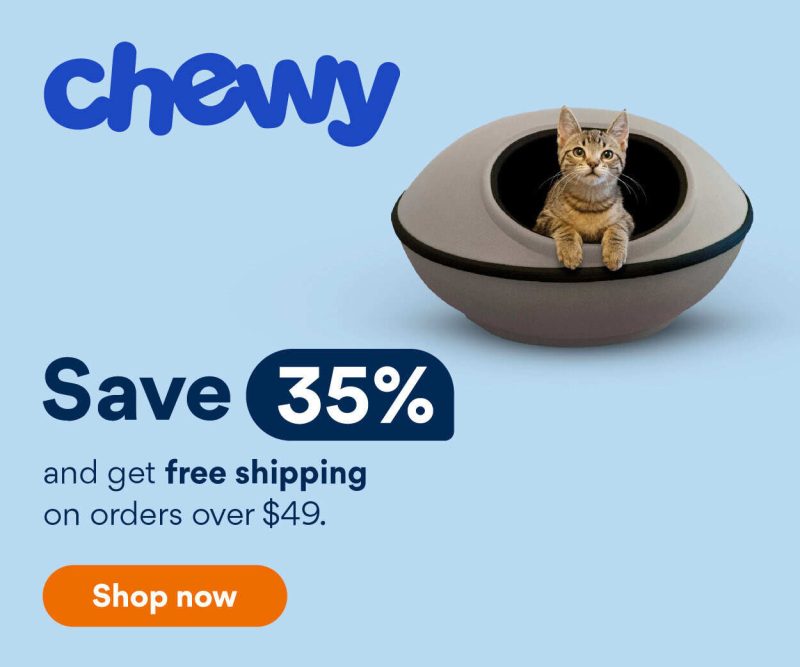 Chewy Review 2026: Pros, Cons & Considerations - Catster