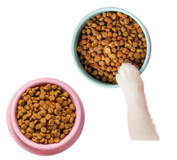 Cat Food Reviews 2026 – Brands & Ratings - Catster