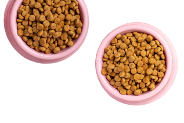 Cat Food Reviews 2026 – Brands & Ratings - Catster
