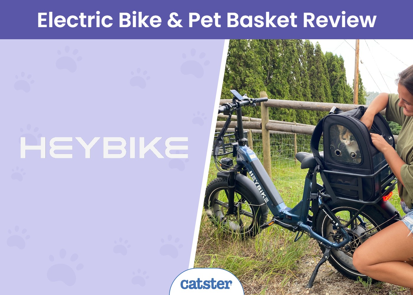 Heybike Ranger S with Front & Rear Baskets Review 2025: Now Your Cats ...