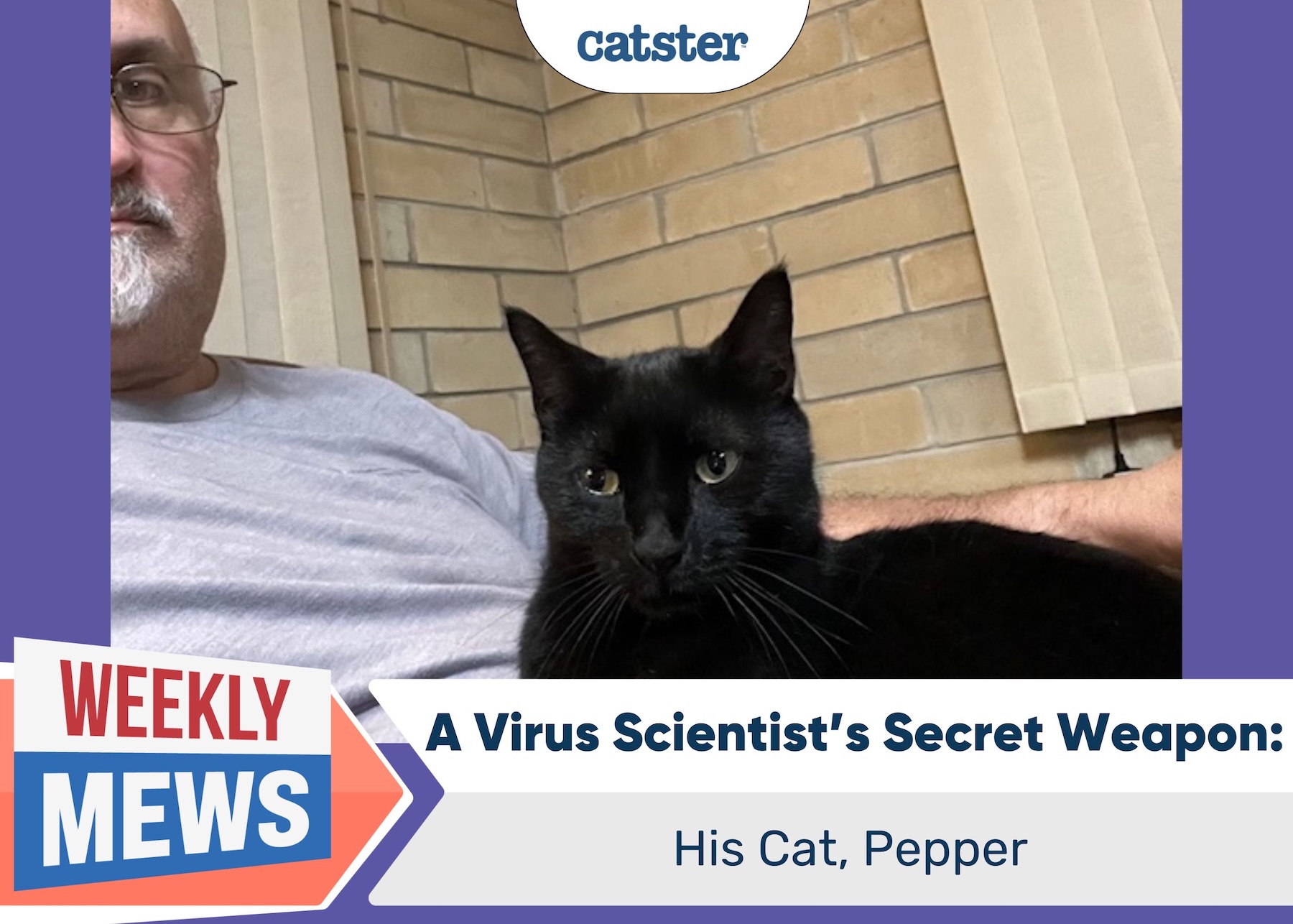 A Virus Scientist’s Secret Weapon: His Cat, Pepper - Catster
