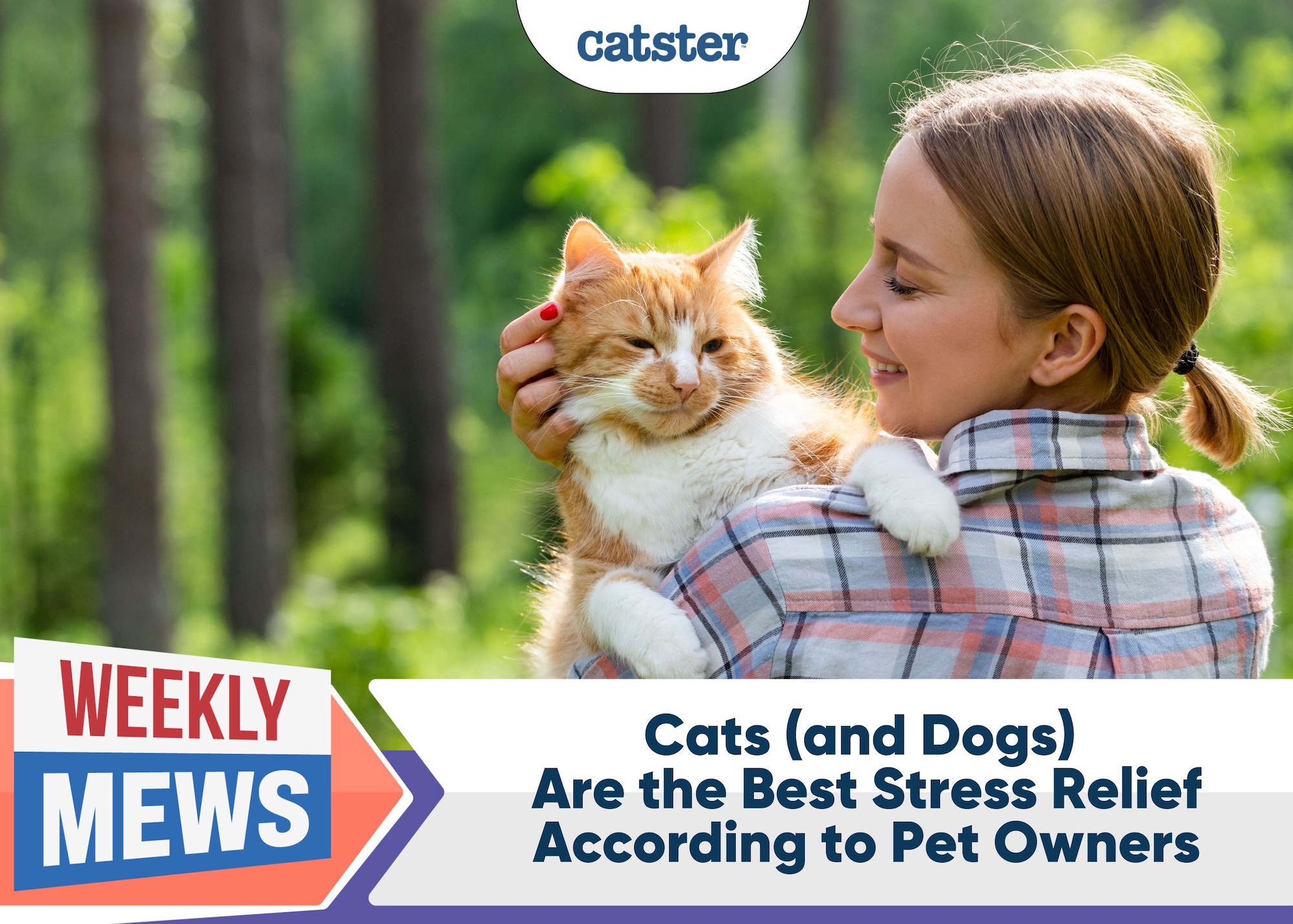 Cats (and Dogs) Are the Best Stress Relief, According to Pet Owners ...