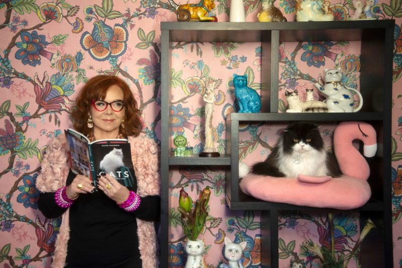 LA’s Biggest Cat Event is Back: CatCon Celebrates 10th Anniversary ...