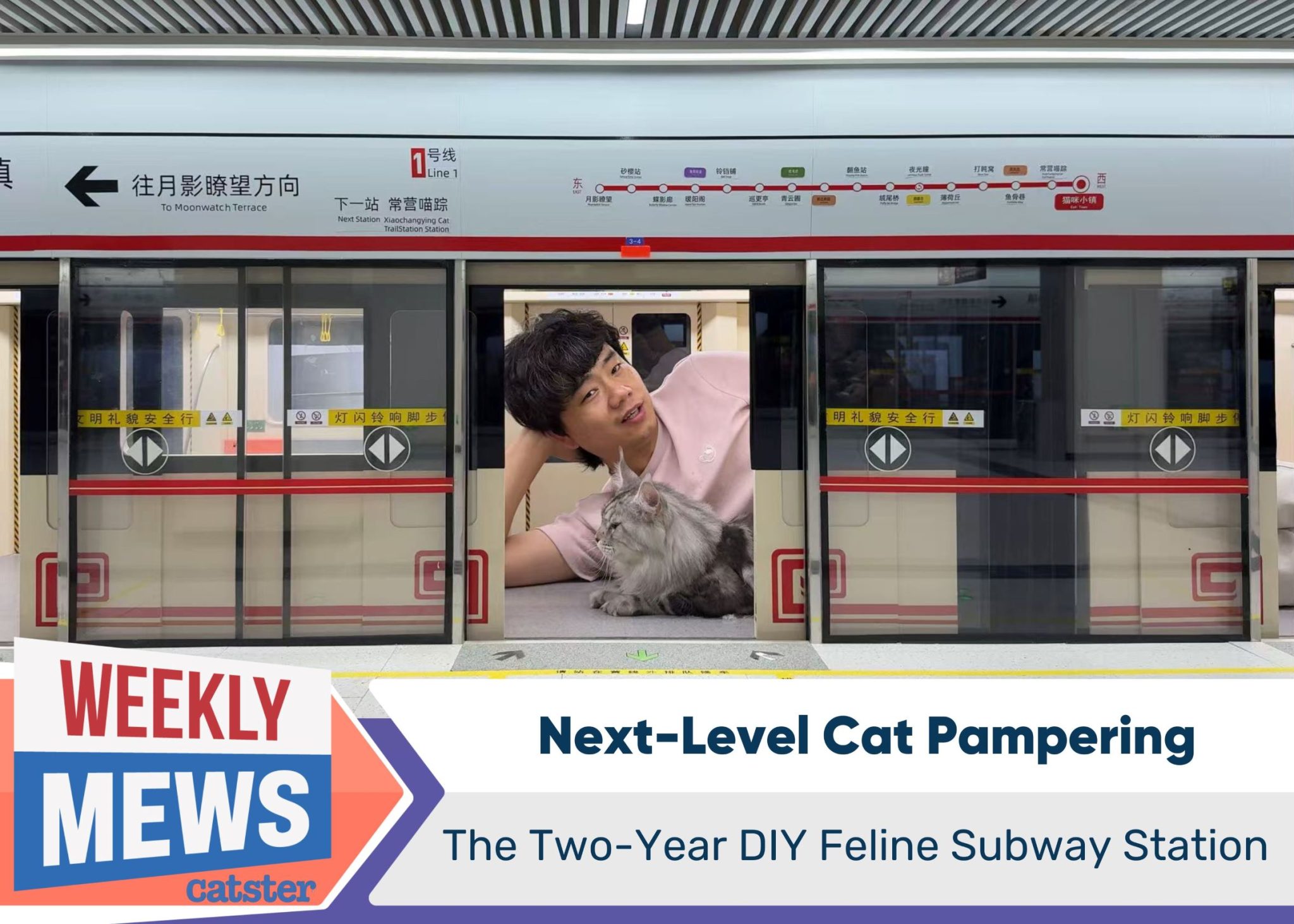Next-Level Cat Pampering: The Two-Year DIY Feline Subway Station - Catster