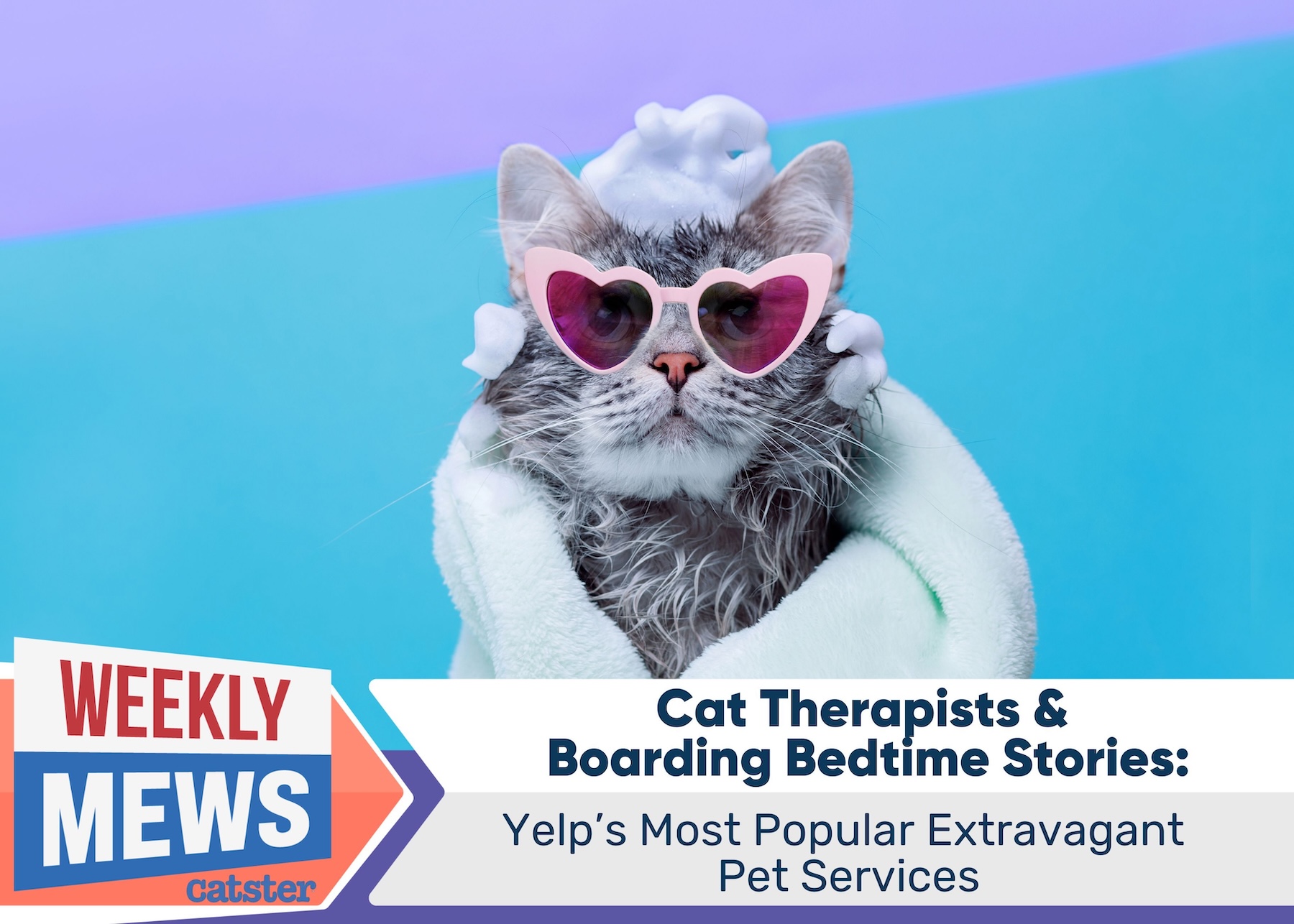 Cat Therapists & Boarding Bedtime Stories: Yelp's Most Popular ...