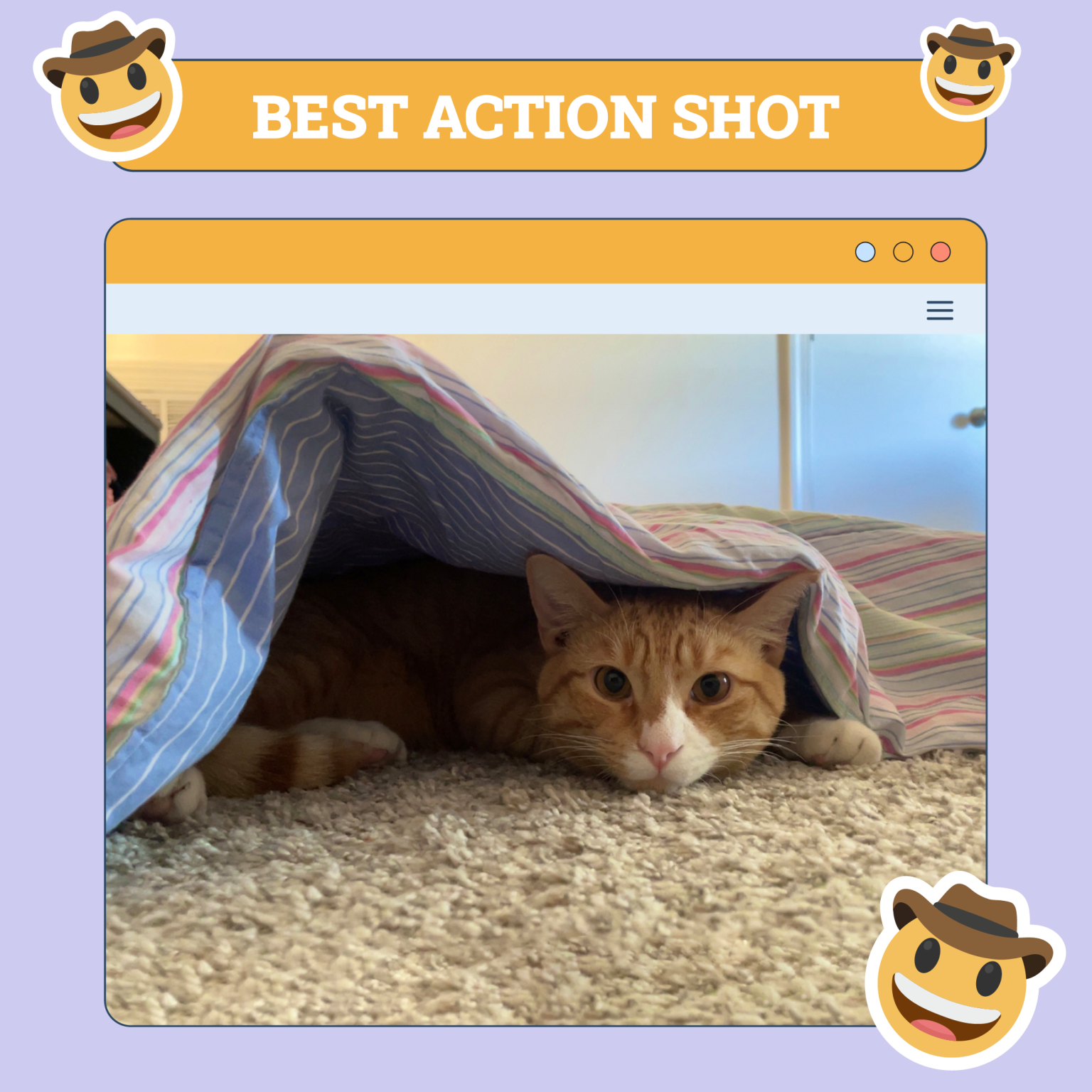 Catster Photo Contest: Cats of the Week Winners (August 28, 2025) - Catster
