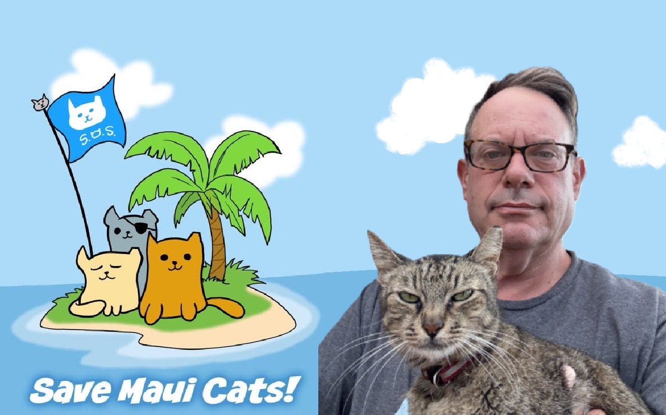 The Cat Man of Maui: Saving Hawaii’s Stray Cats Against All Odds - Catster