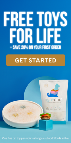 Catster: Cat Health, Care Guides, & Shop by Veterinarians & Experts