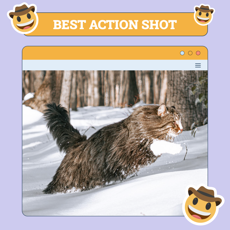 Catster Photo Contest: Cats of the Week Winners (September 18, 2025 ...