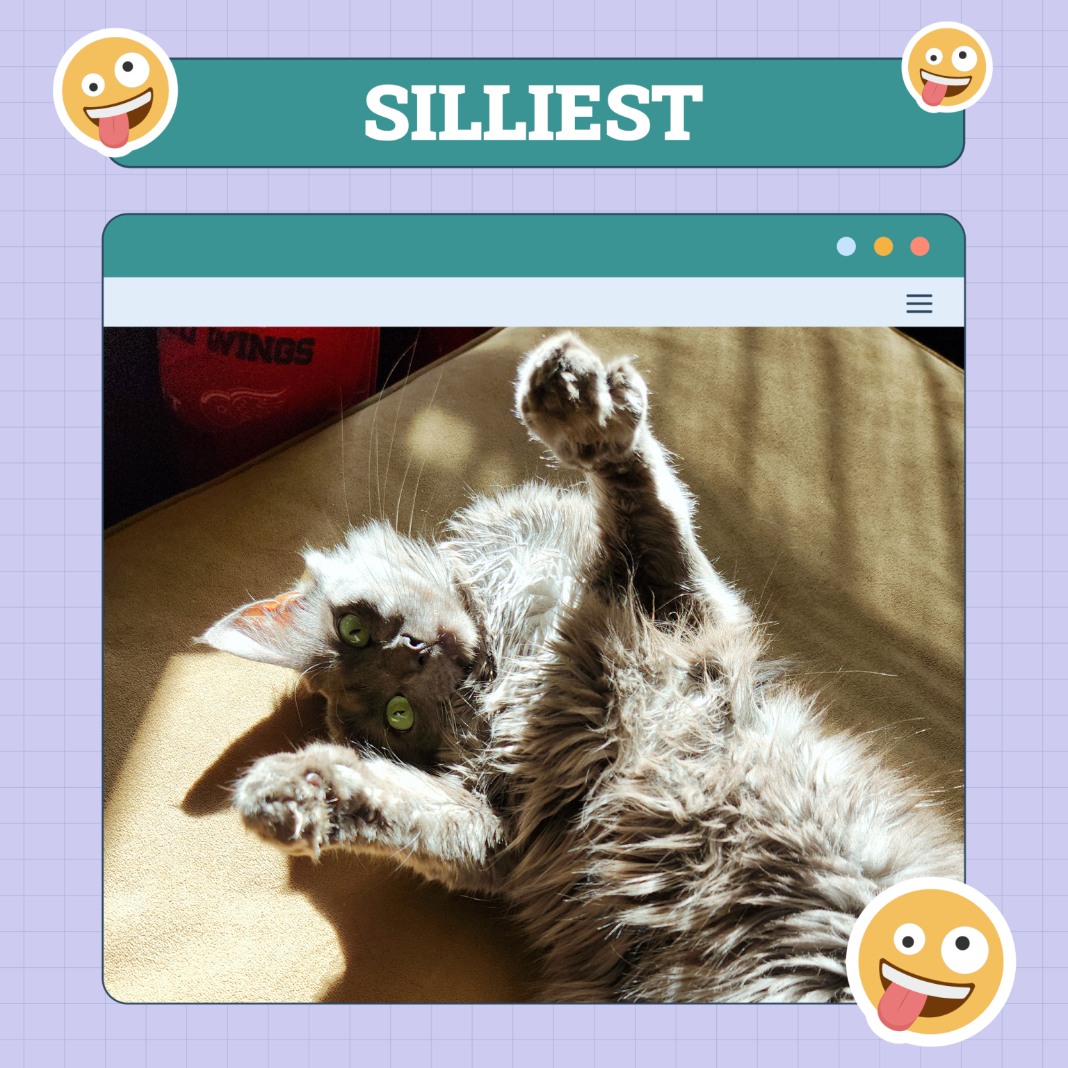 Catster Photo Contest: Cats of the Week Winners (September 18, 2025 ...