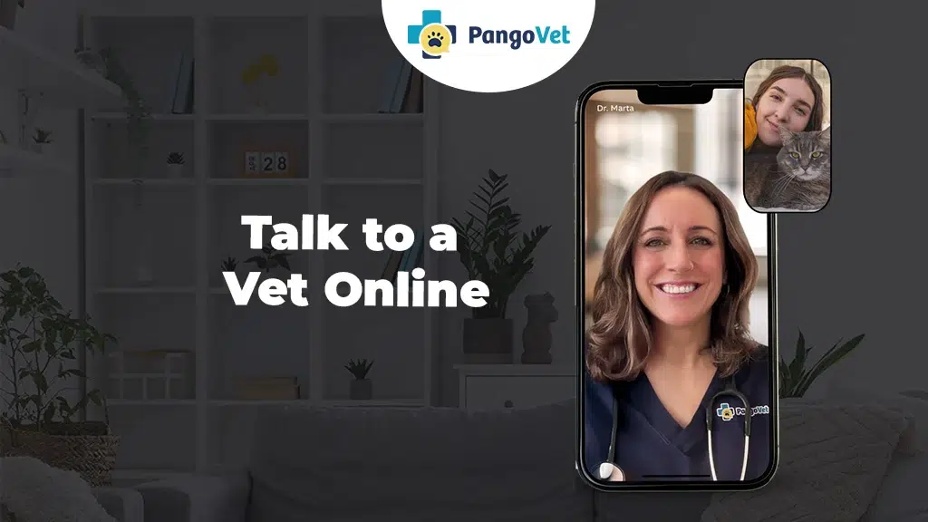 We're Hiring Telehealth Veterinarians for Remote Work (January 2026 ...