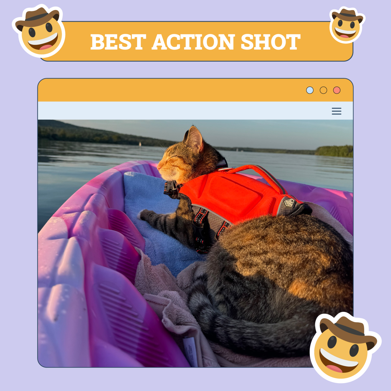 Catster Photo Contest: Cats of the Week Winners (October 9, 2025) - Catster