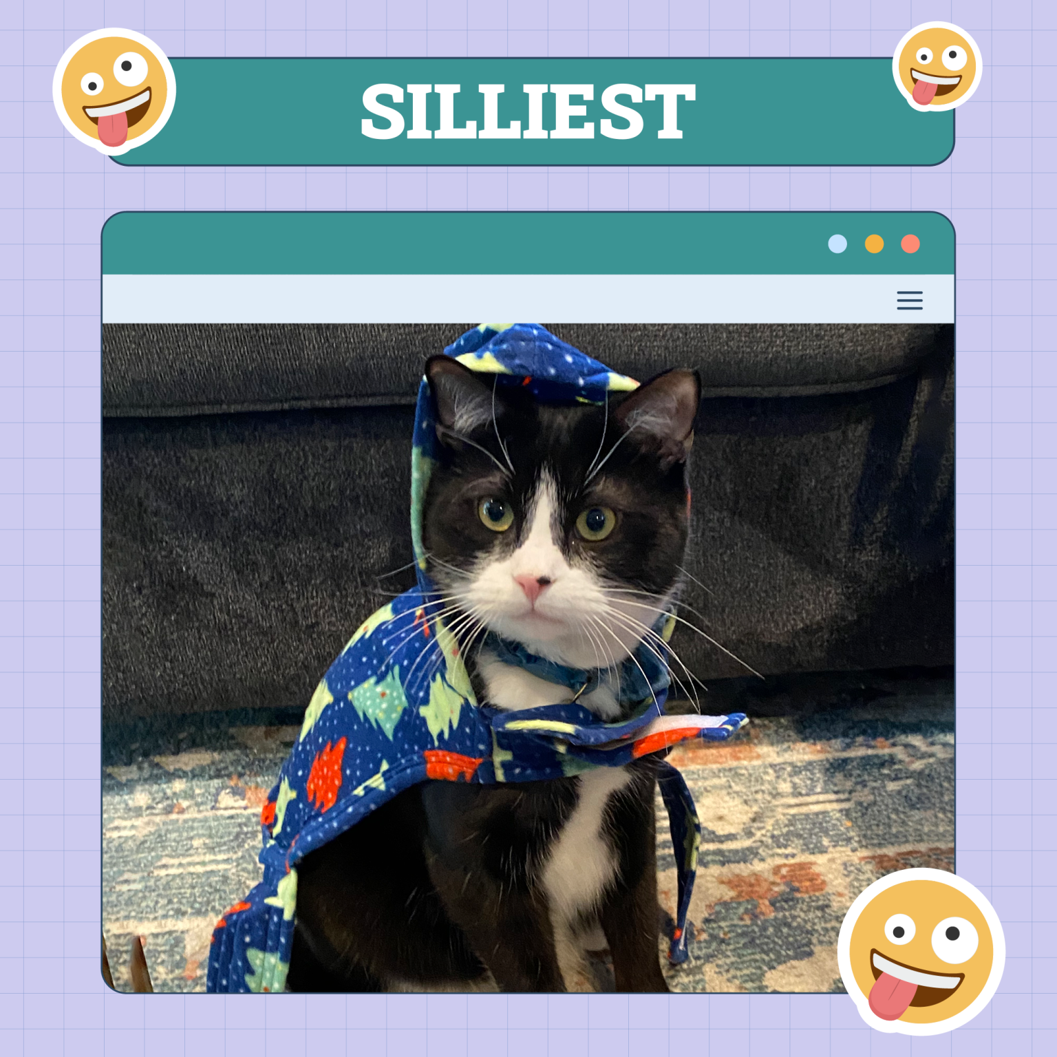Catster Photo Contest: Cats of the Week Winners (October 9, 2025) - Catster