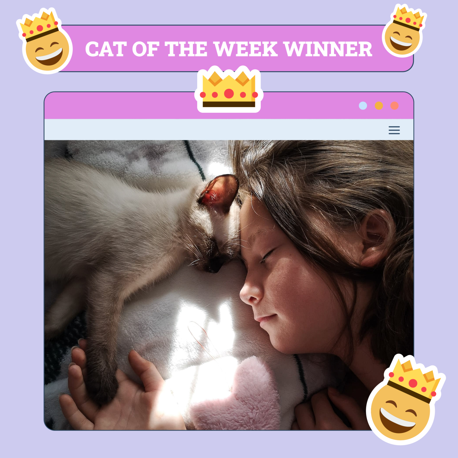 Catster Photo Contest: Cats of the Week Winners (October 23, 2025 ...