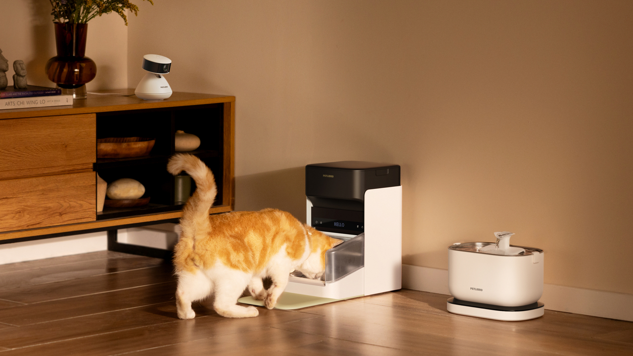 Why Every Cat Parent Needs Petlibro In Their Home - Catster