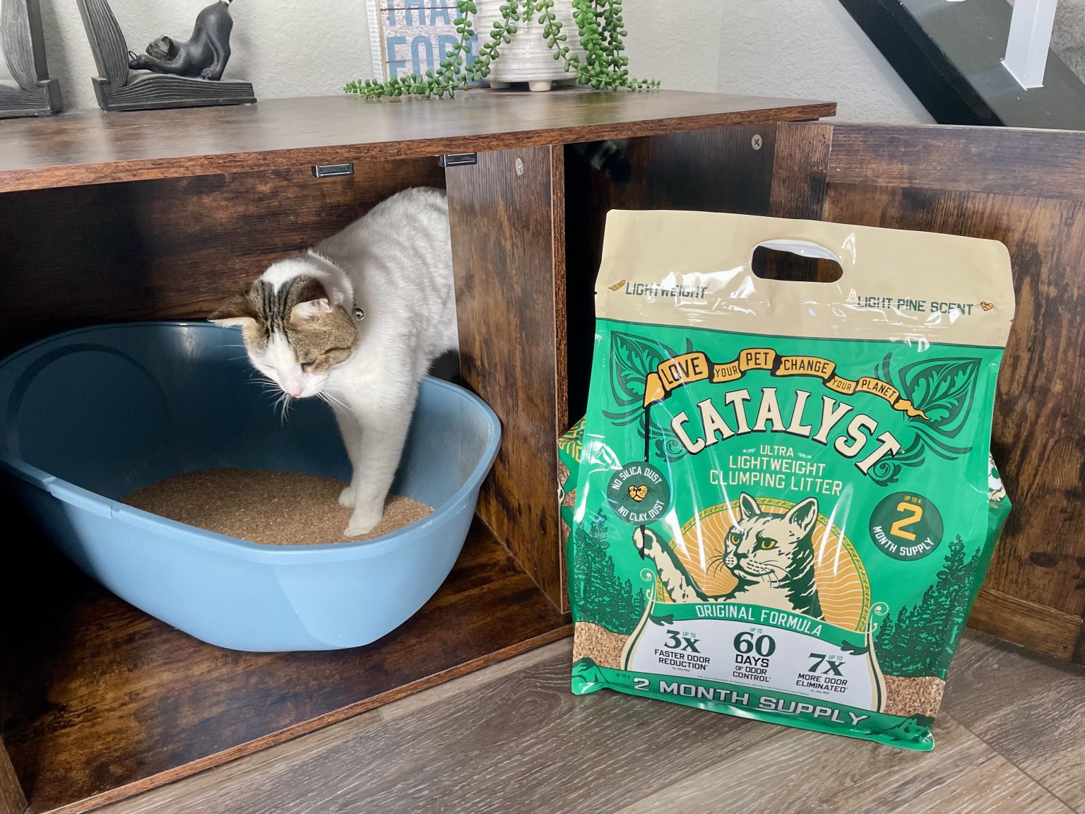 Catalyst Pet Litter Review: Our Expert’s Opinion 2026 - Catster