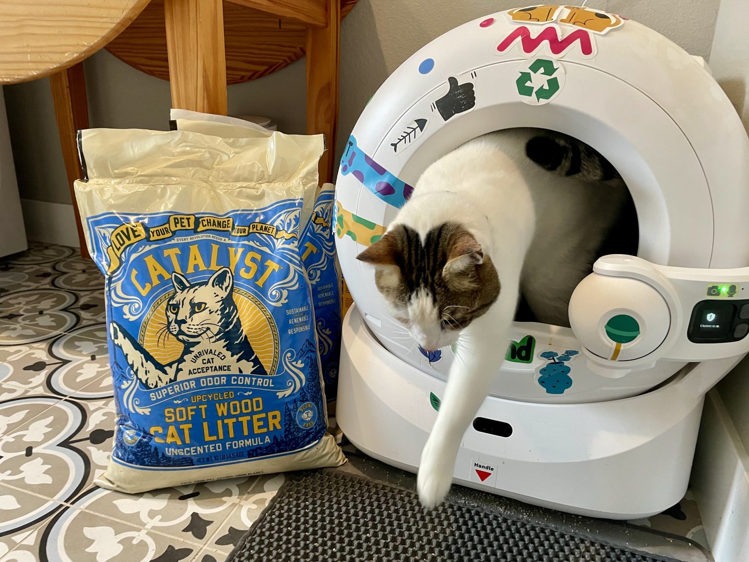 Catalyst Pet Litter Review: Our Expert’s Opinion 2026 - Catster