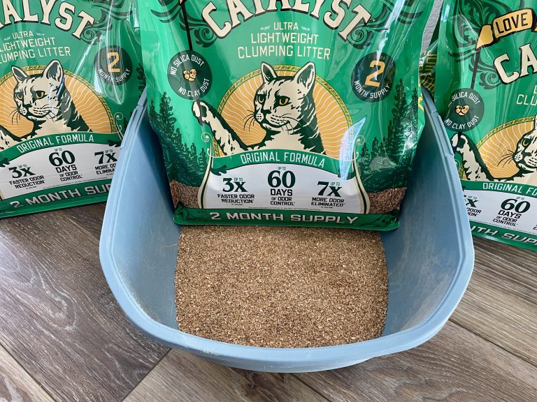 Catalyst Pet Litter Review: Our Expert’s Opinion 2026 - Catster