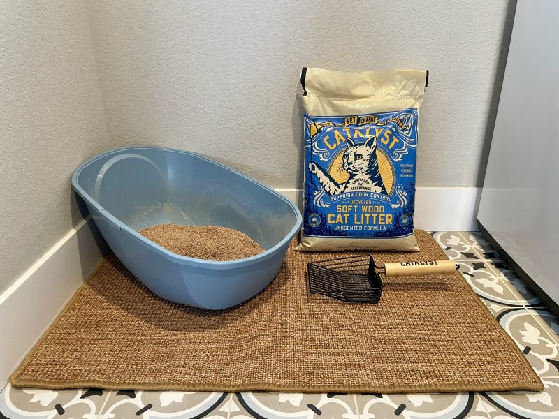 Catalyst Pet Litter Review: Our Expert’s Opinion 2026 - Catster