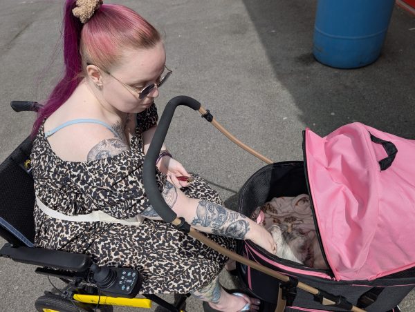Kizzy: The Feline Princess With a Purpose - Catster
