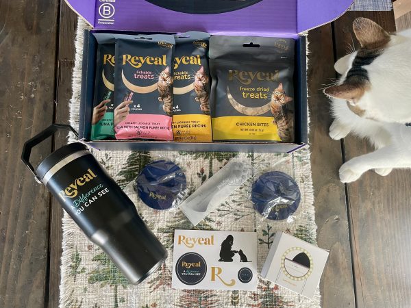 Reveal Wet Cat Food & Treats Review 2026: Our Expert’s Opinion - Catster
